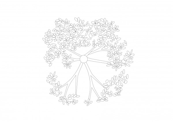 FREE TREE TOP VIEW CAD BLOCK – DWG, DXF, PDF FORMAT | FREE CADS