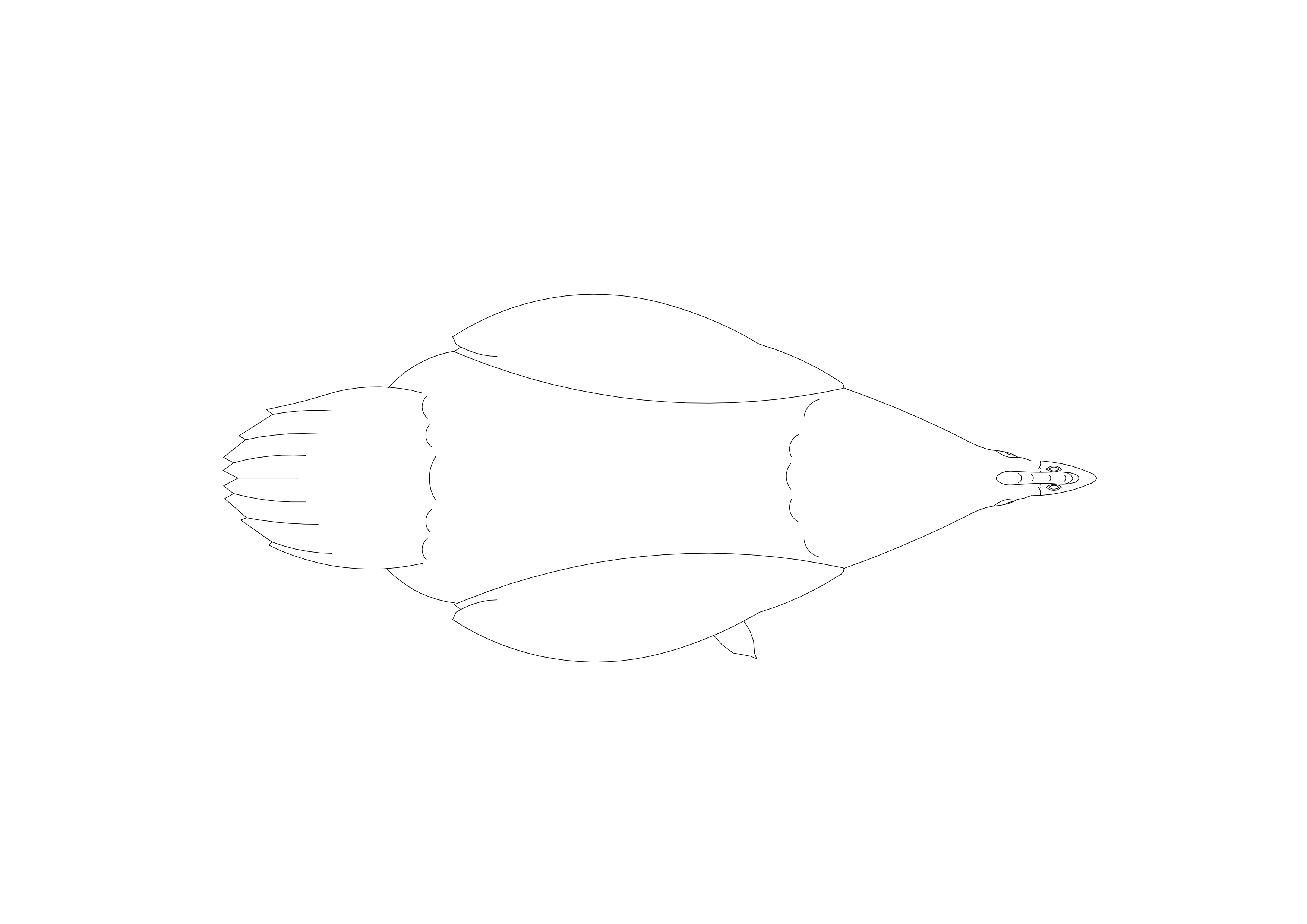 Free Bird CAD Block – DWG, DXF, PDF Format - FreeCADS