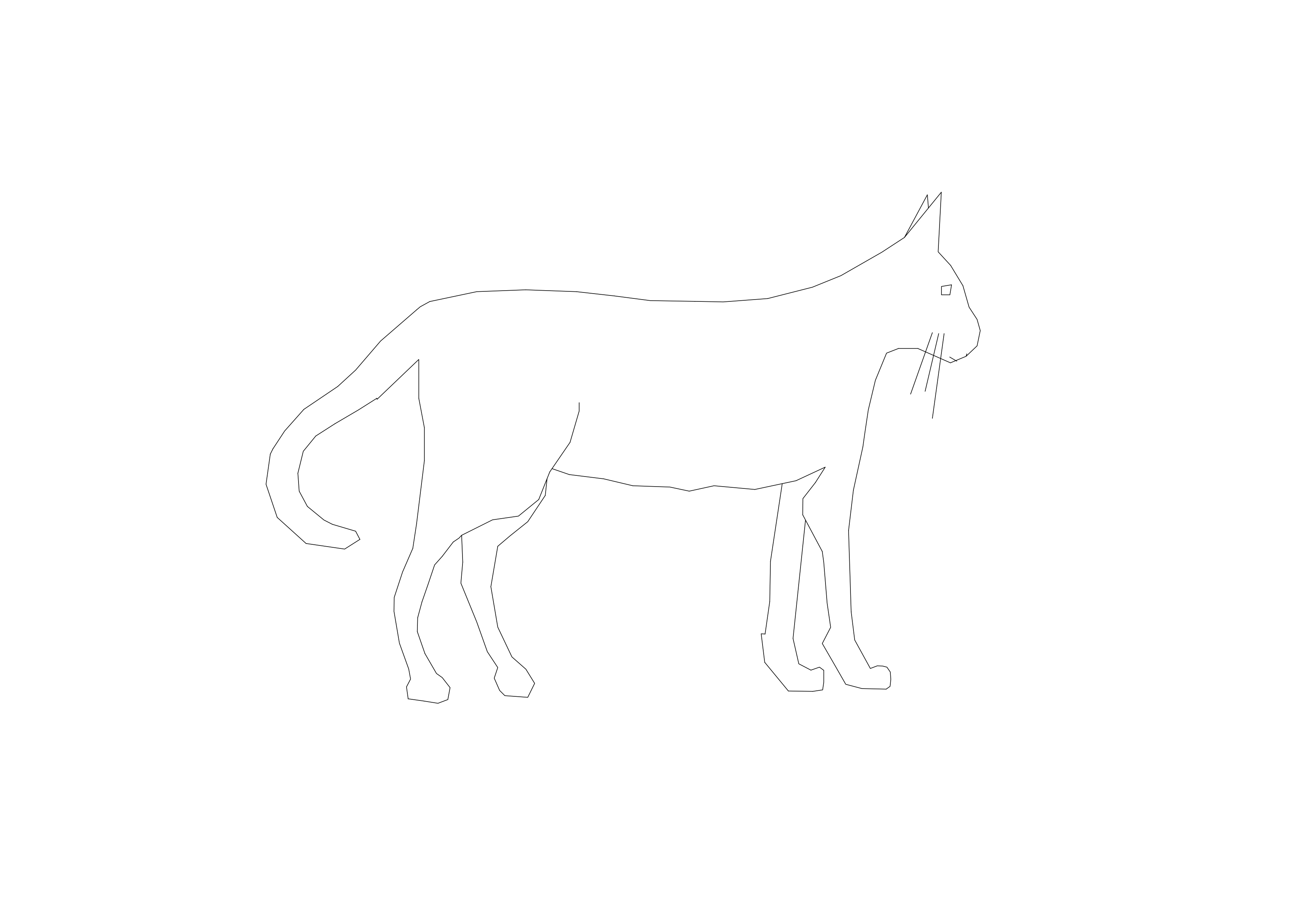 Free Cat CAD Block – DWG, DXF, PDF Format - FreeCADS