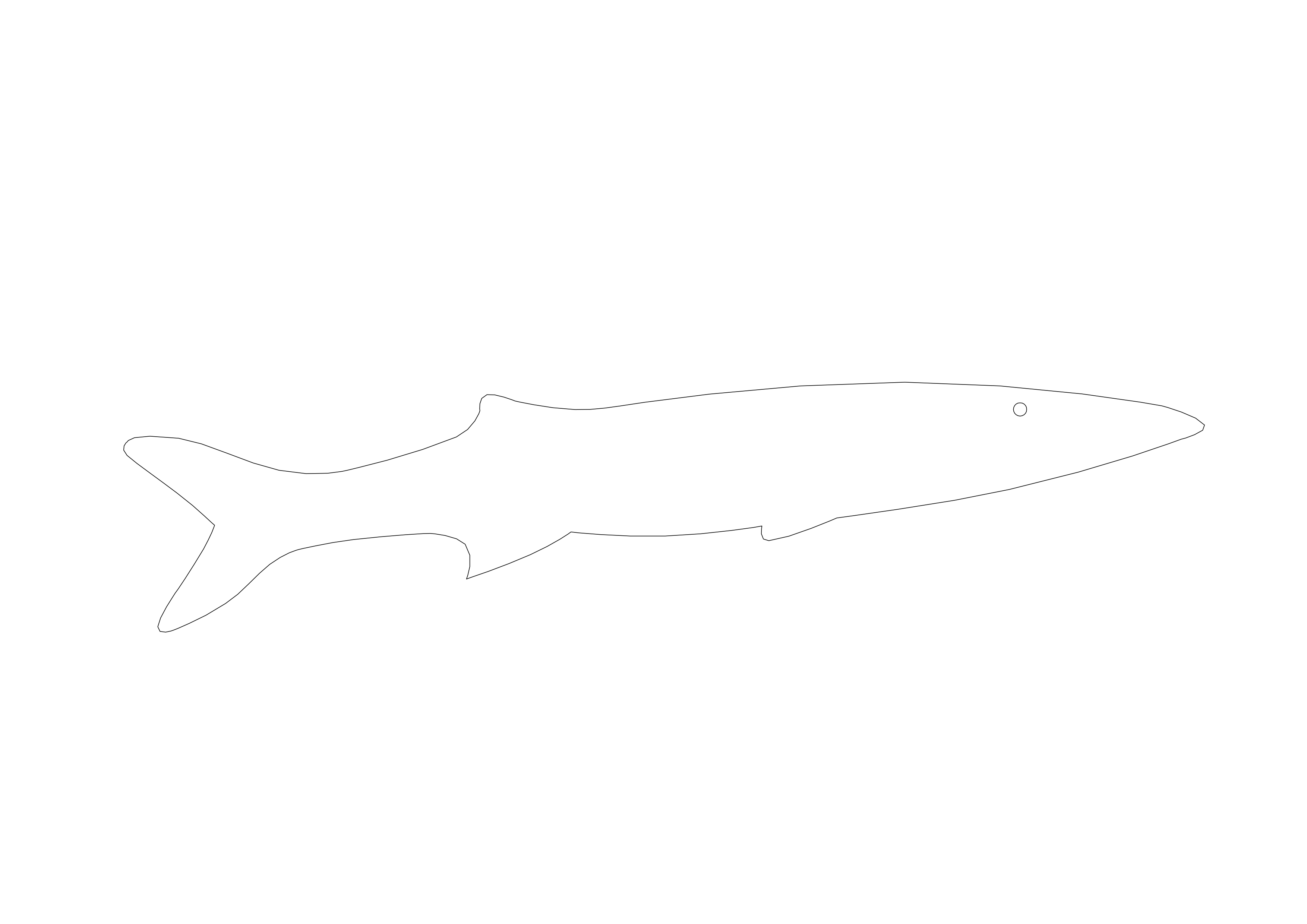 Free Fish CAD Block – DWG, DXF, PDF Format - FreeCADS