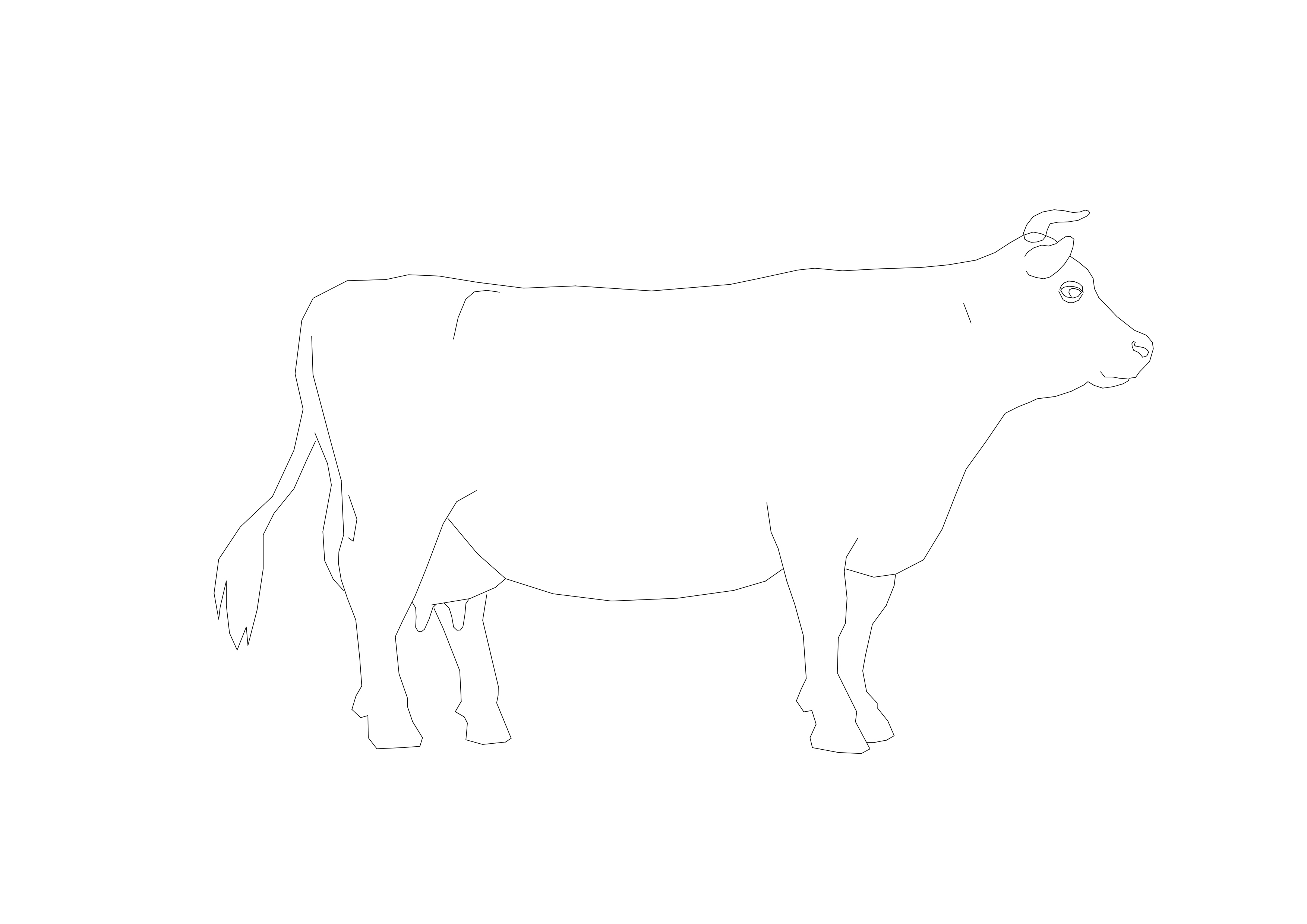 Free Cow CAD Block – DWG, DXF, PDF Format - FreeCADS