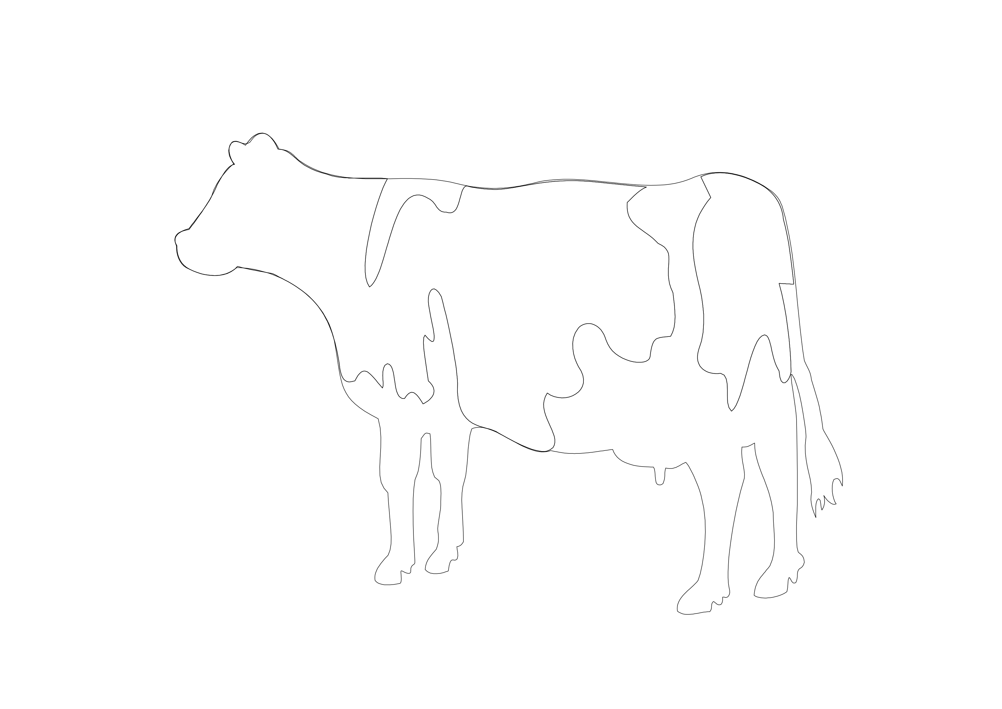 Free Cow CAD Block – DWG, DXF, PDF Format - FreeCADS